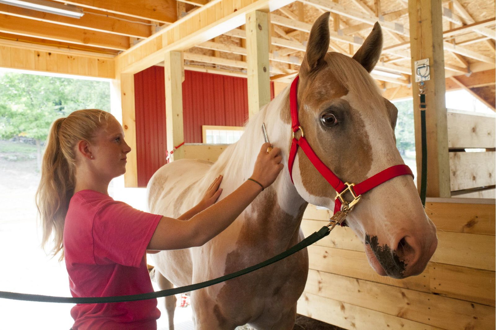 FREQUENTLY ASKED QUESTIONS FROM KIDS